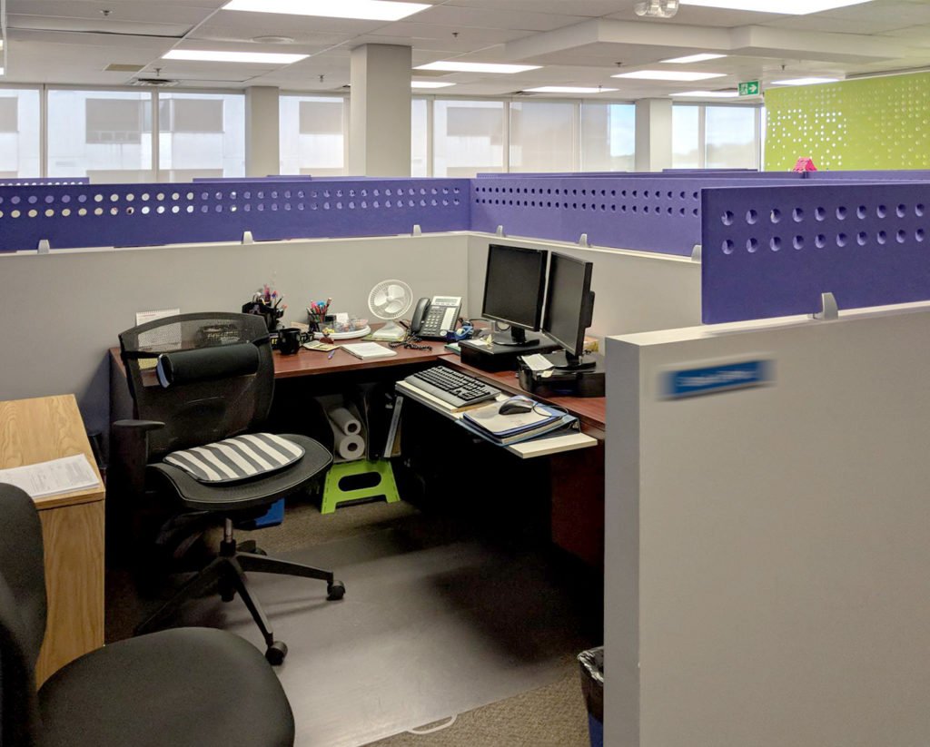 Purple Desk Screens in Large Office